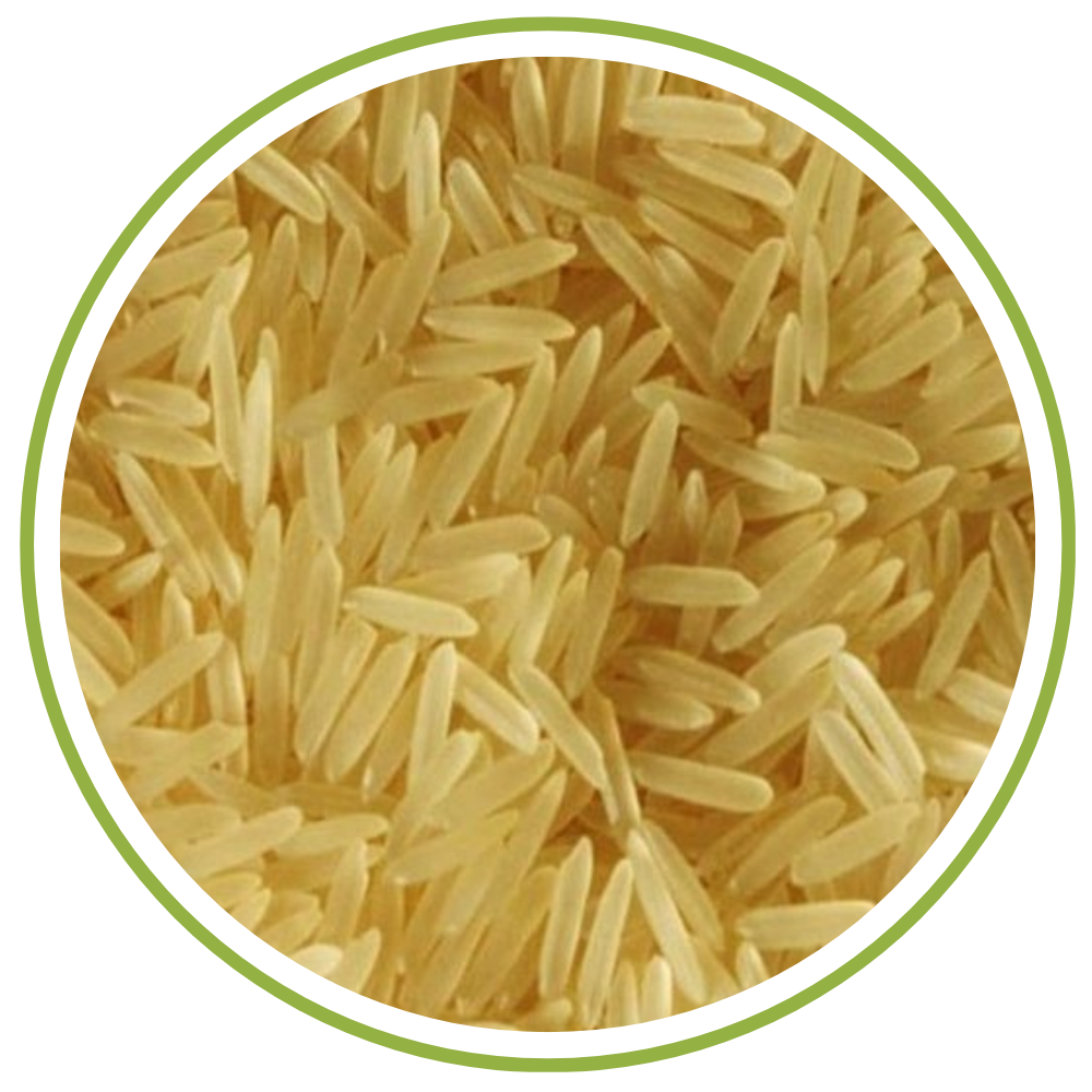 Shop – Wide Garden