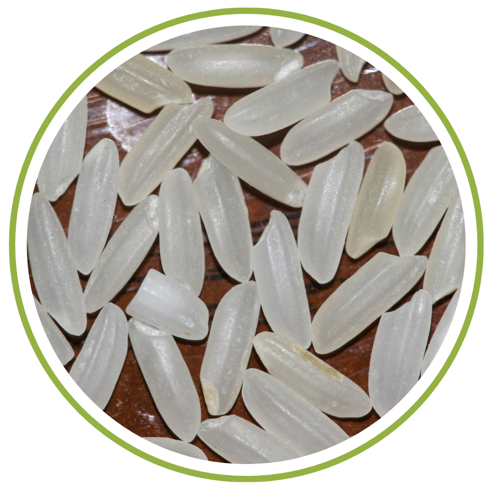 Rices Wide Garden rices-wide-garden